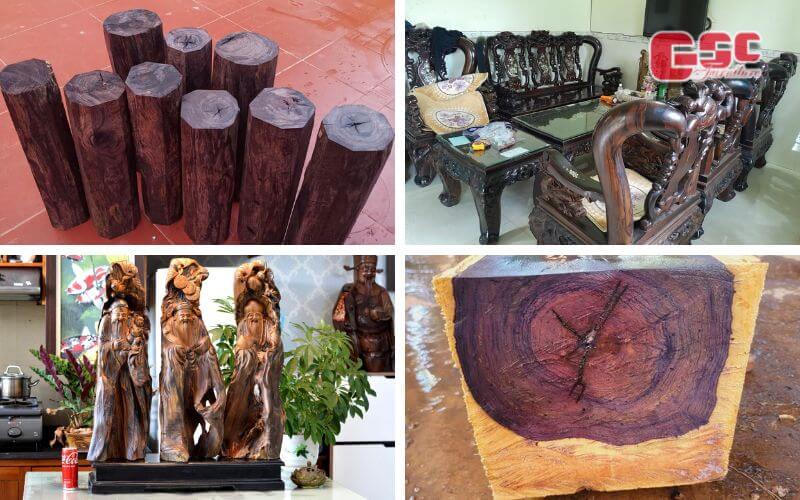 Gỗ cẩm thị có tốt không? Đặc điểm, ứng dụng gỗ cây cẩm thị